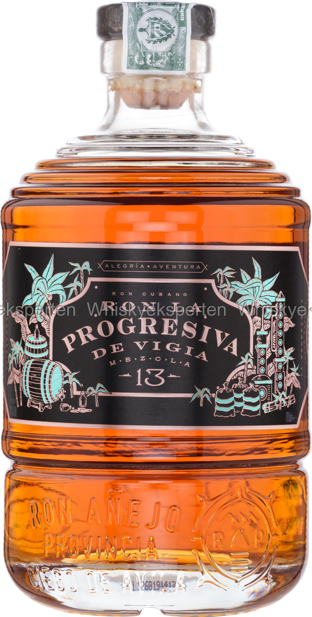 Ron La Progresiva De Vigia Mezcla 13 Rom